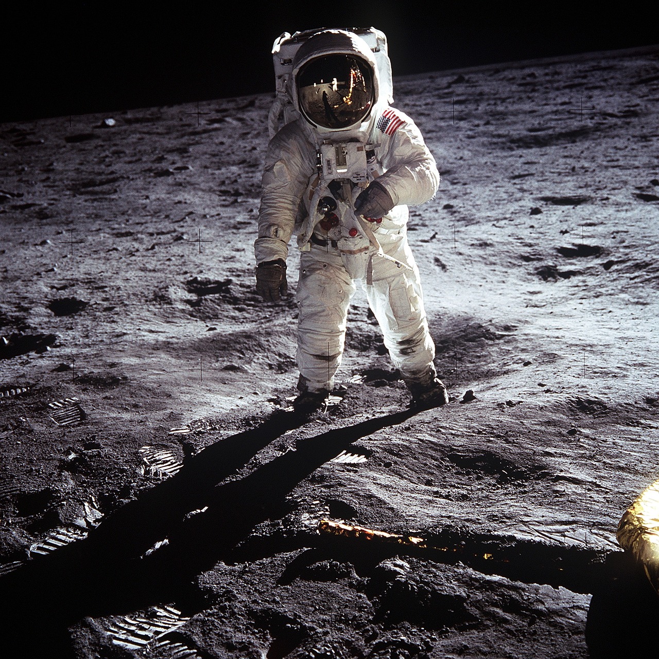 Technology Paper: The Dutch Apollo 11 Goodwill display contains genuine ...